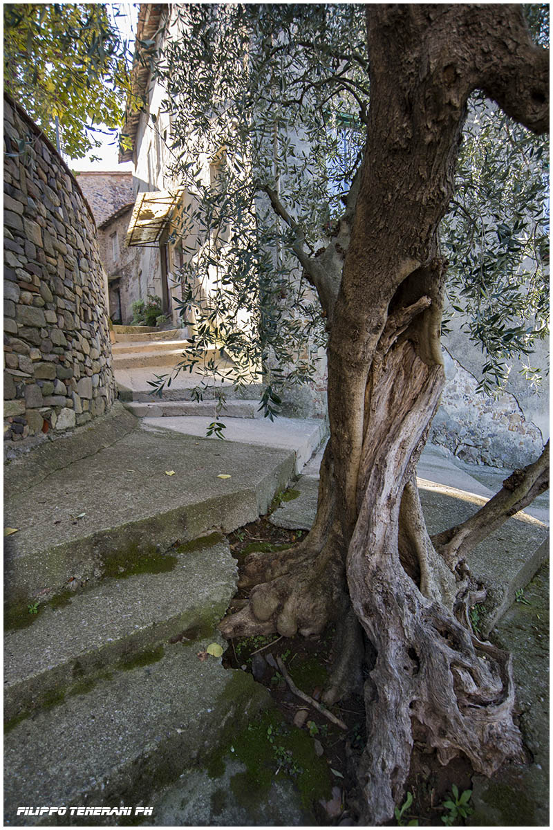 CASTELVECCHIO DI COMPITO LU
