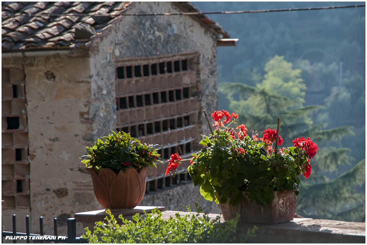 CASTELVECCHIO DI COMPITO LU